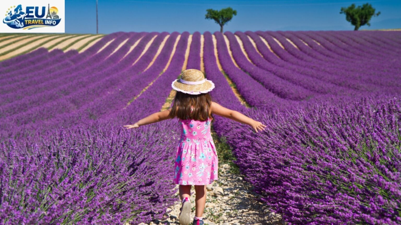 Best Time To Visit Provence For Lavender Season Guide 2026